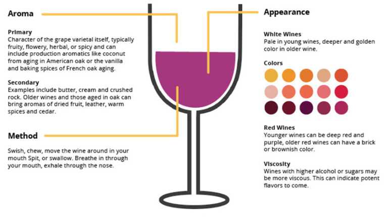 Wine sensory evaluation | Rising Wines Collective